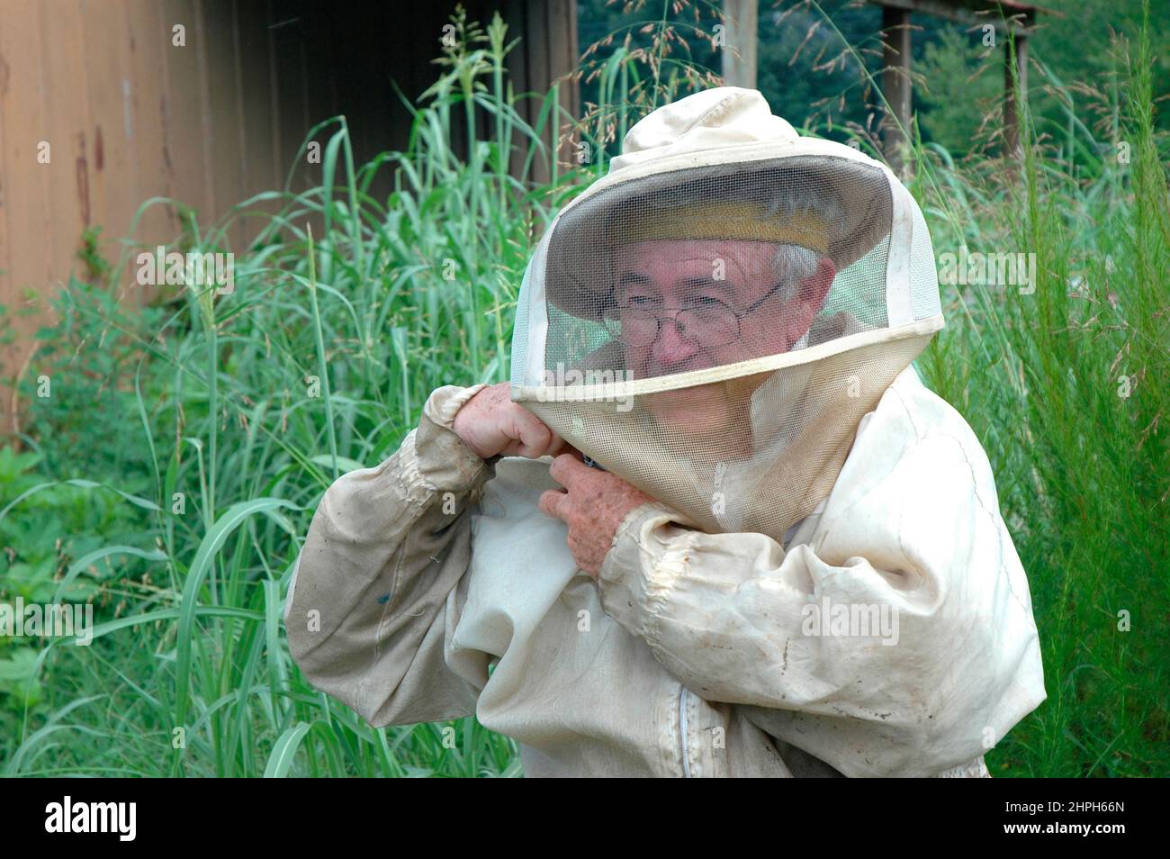 Beekeeper cleans, feeds and inspects hives for health and condition of ...