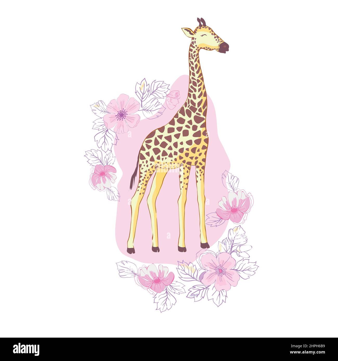 cute giraffe isolated icon vector illustration design. Isolated objects ...