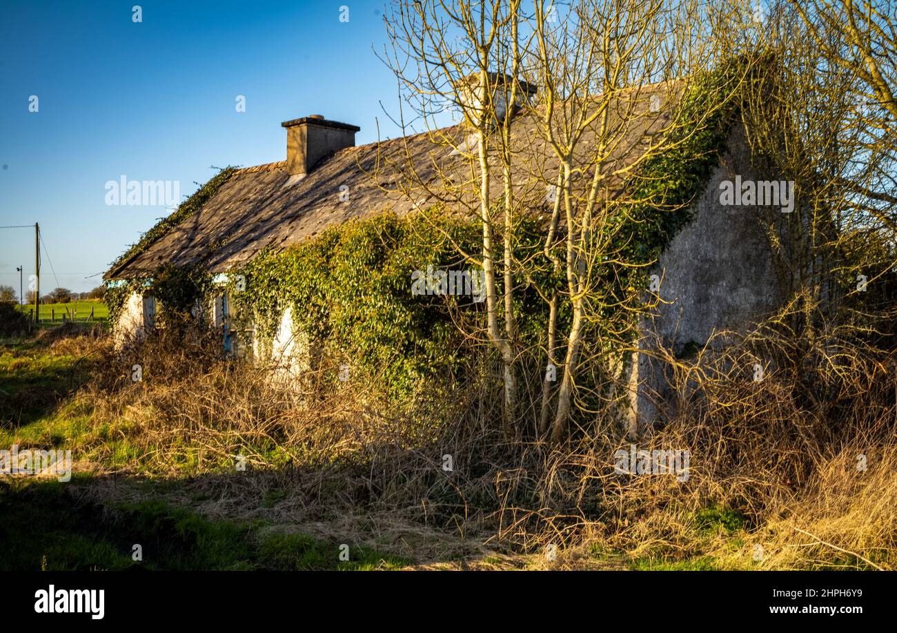 An abandoned and ruined traditional cottage house in County Galway, in ...