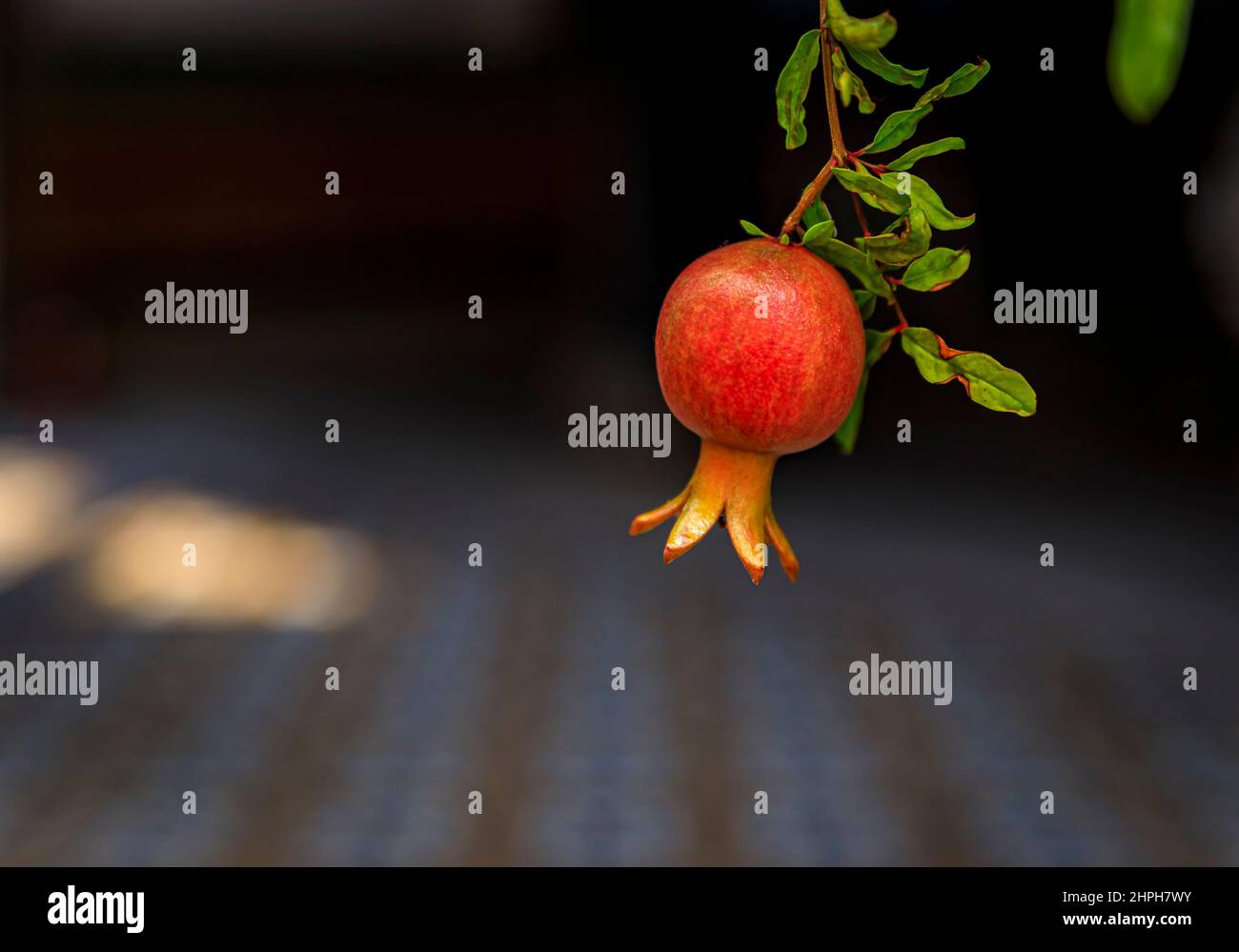 Symbol of fertility hi-res stock photography and images - Alamy