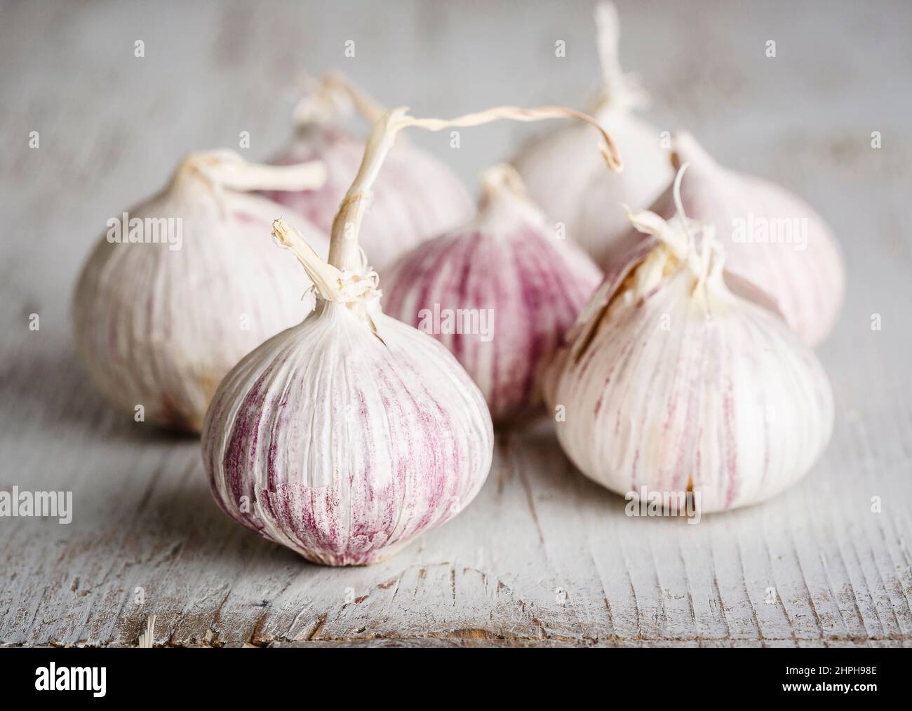 Stylised image of garlic taken in a studio with professional lighting ...