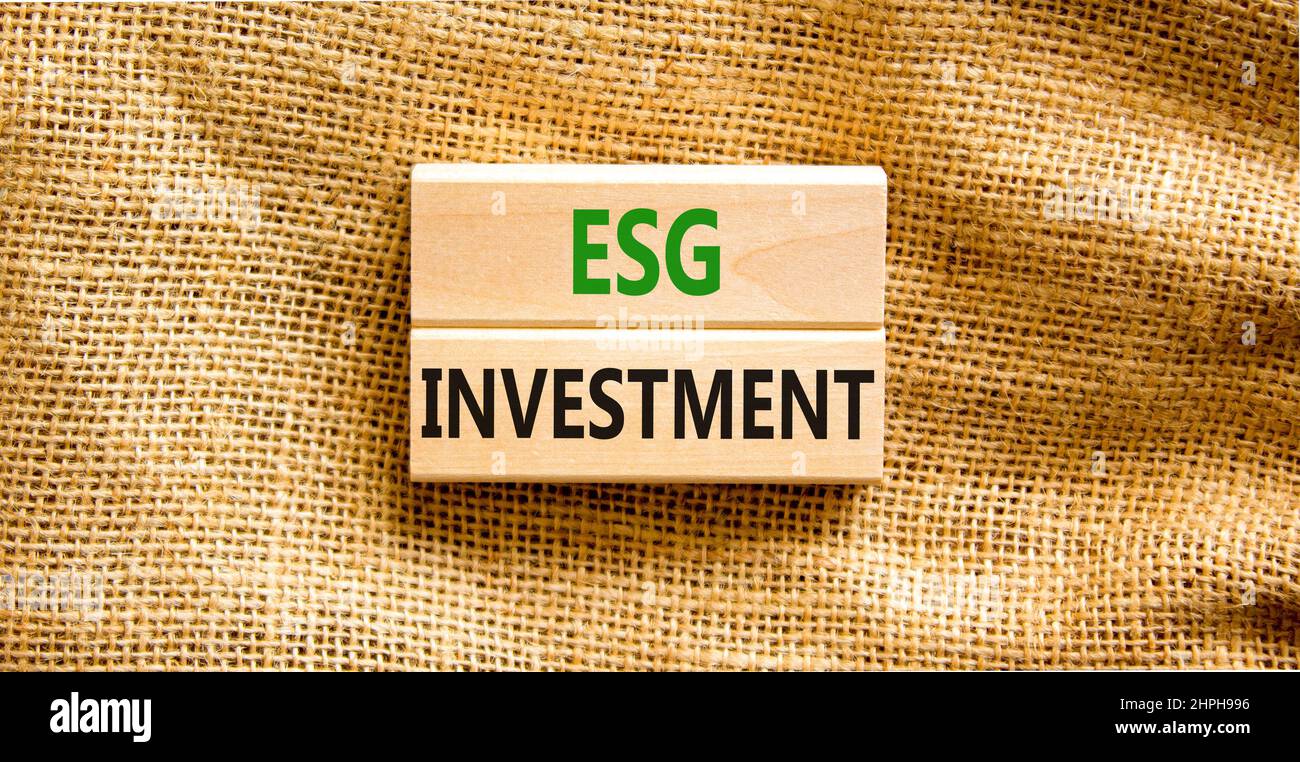 ESG environmental social governance investment symbol. Concept words ...