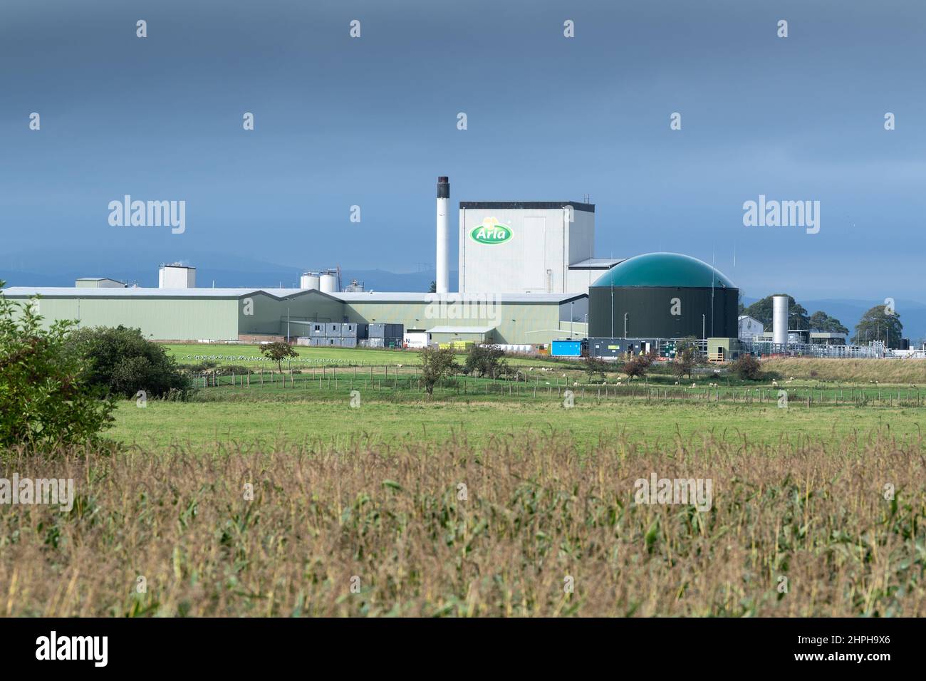 Factory food production hi-res stock photography and images - Alamy