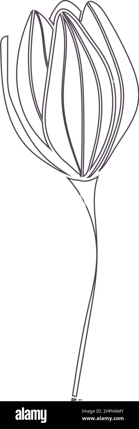 Isolated outline of a flower Vector Stock Vector Image & Art - Alamy