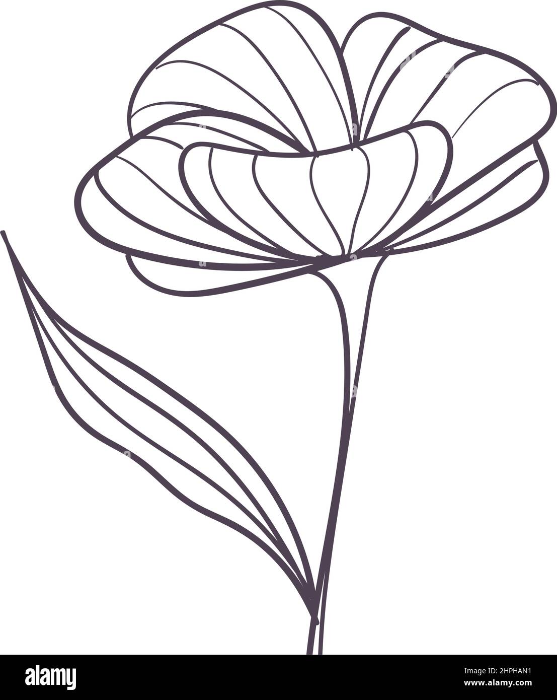 Isolated outline of a flower Vector Stock Vector Image & Art - Alamy