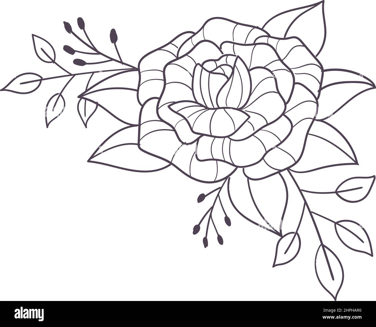 Isolated outline of a flower Vector Stock Vector Image & Art - Alamy