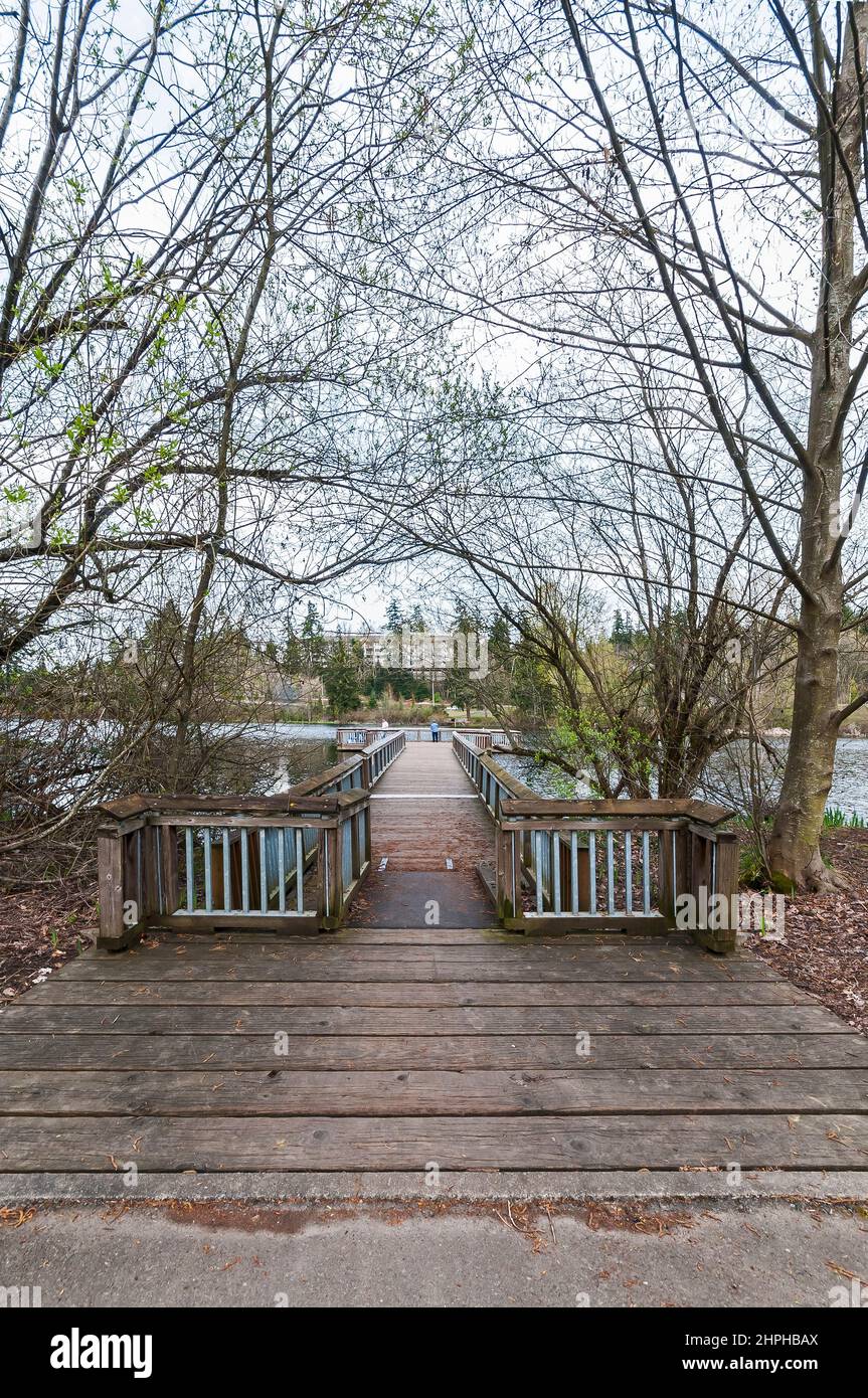 Looking back at the park from the fishing dock at Lake Boren Park ...