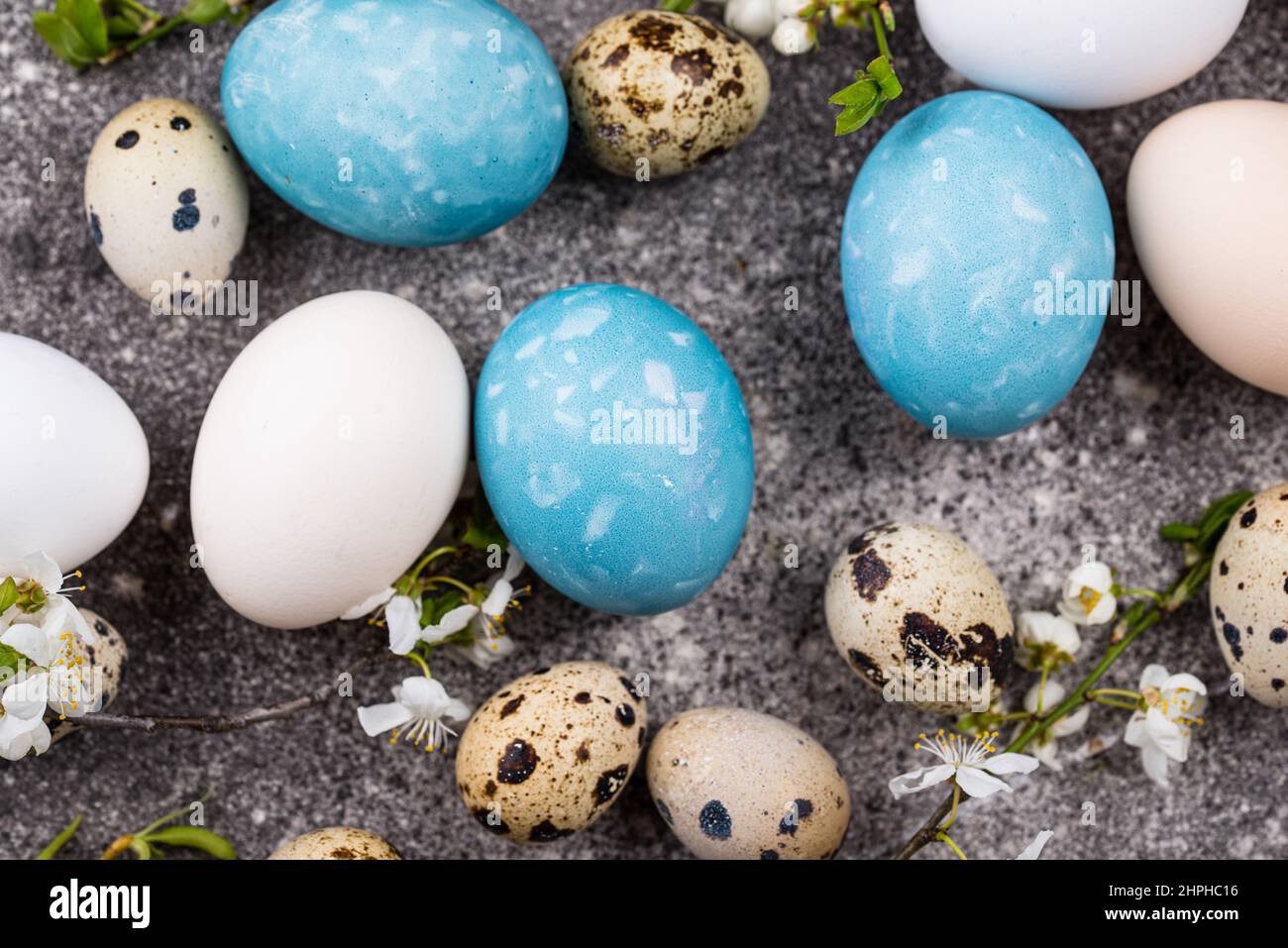 Easter eggs in blue color Stock Photo - Alamy