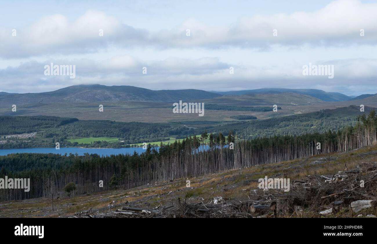 Looking over Loch Rannoch towards Creag a'Mhadaidh with a cleared ...