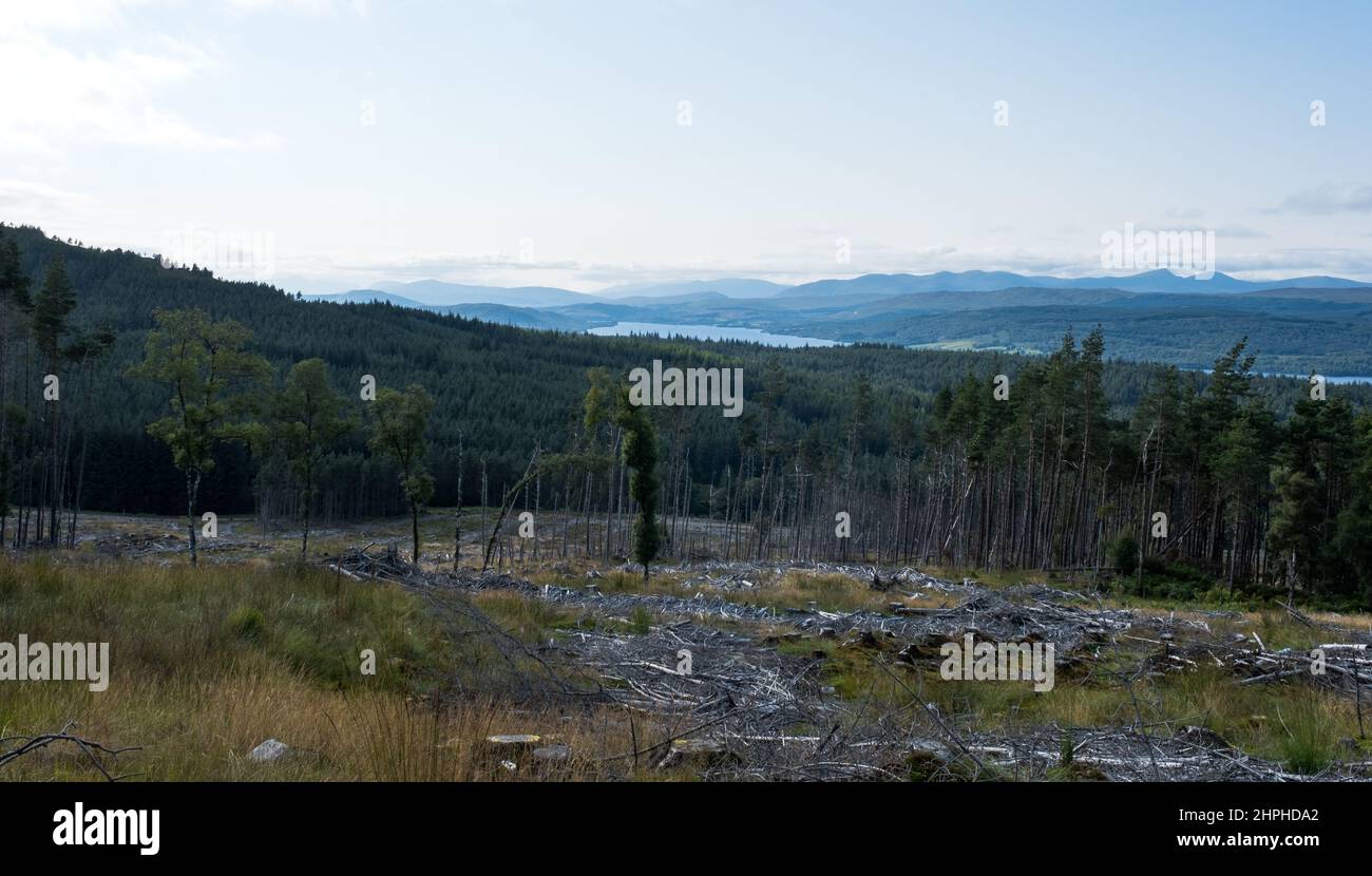Gualann sheileach hi-res stock photography and images - Alamy
