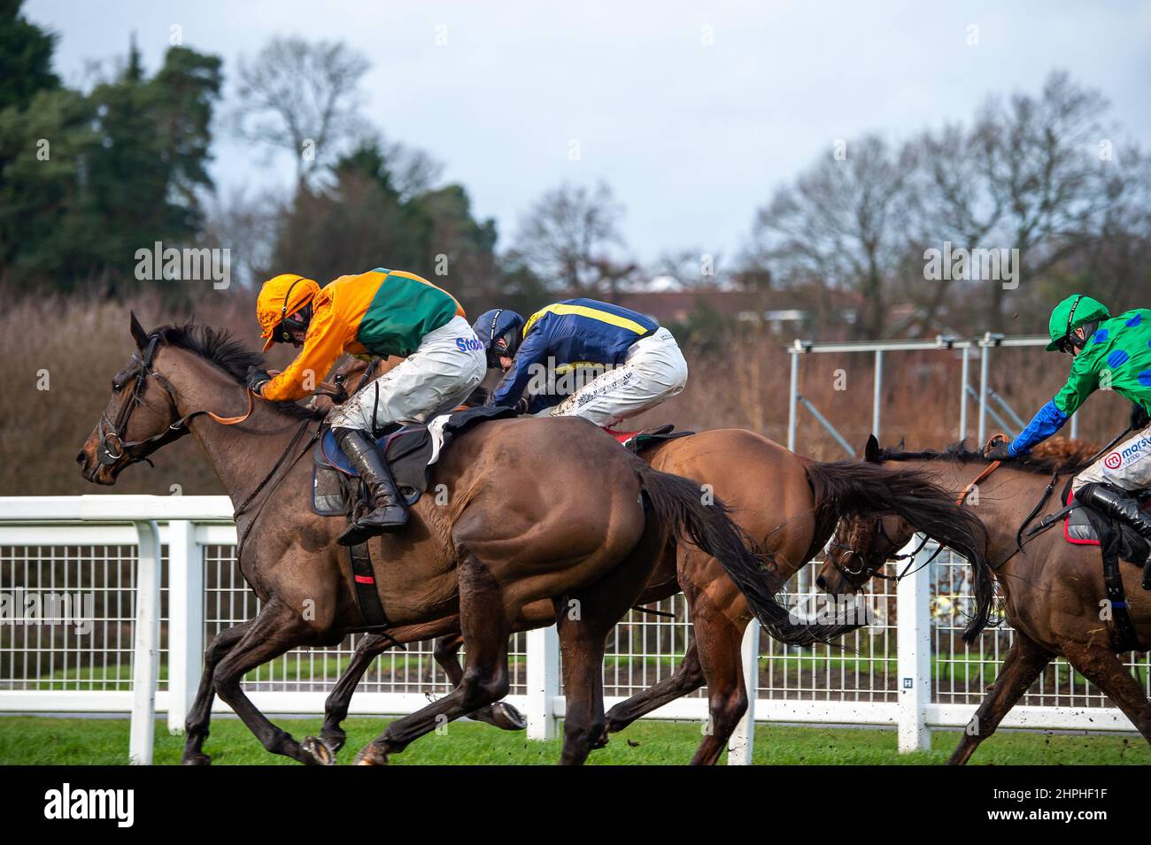 Ascot, Berkshire, UK. 19th February, 2022. Horse Fortescue ridden by ...