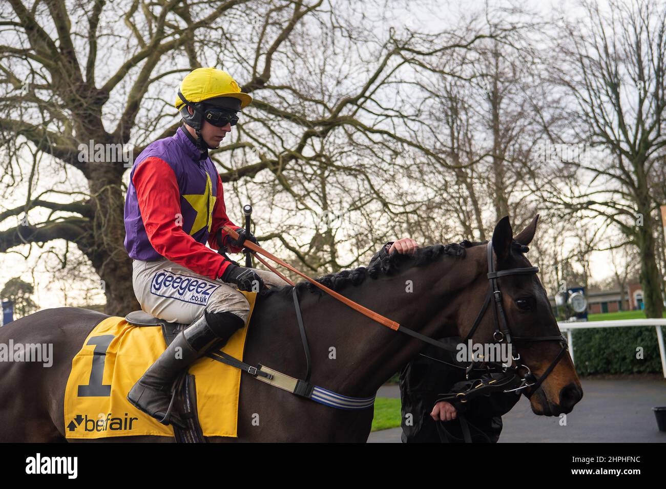Ascot, Berkshire, UK. 19th February, 2022. Jockey Rex Dingle on horse ...
