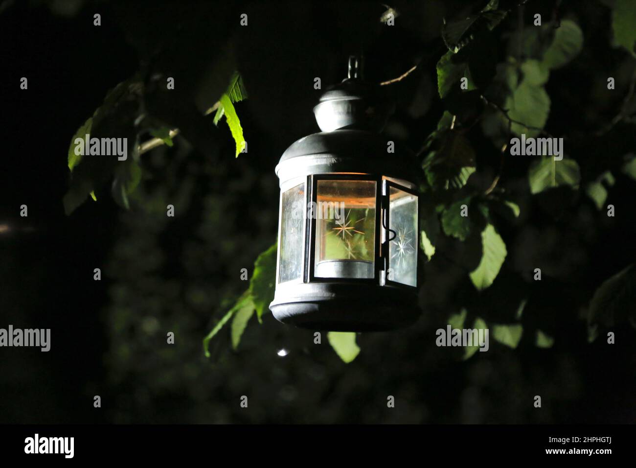 Burning lantern in the dark, illuminating the tree with green leaves ...