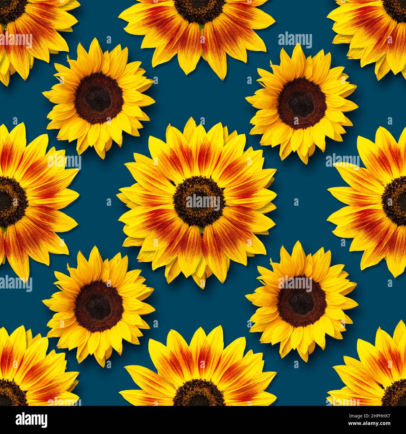 Sunflower Background Pattern