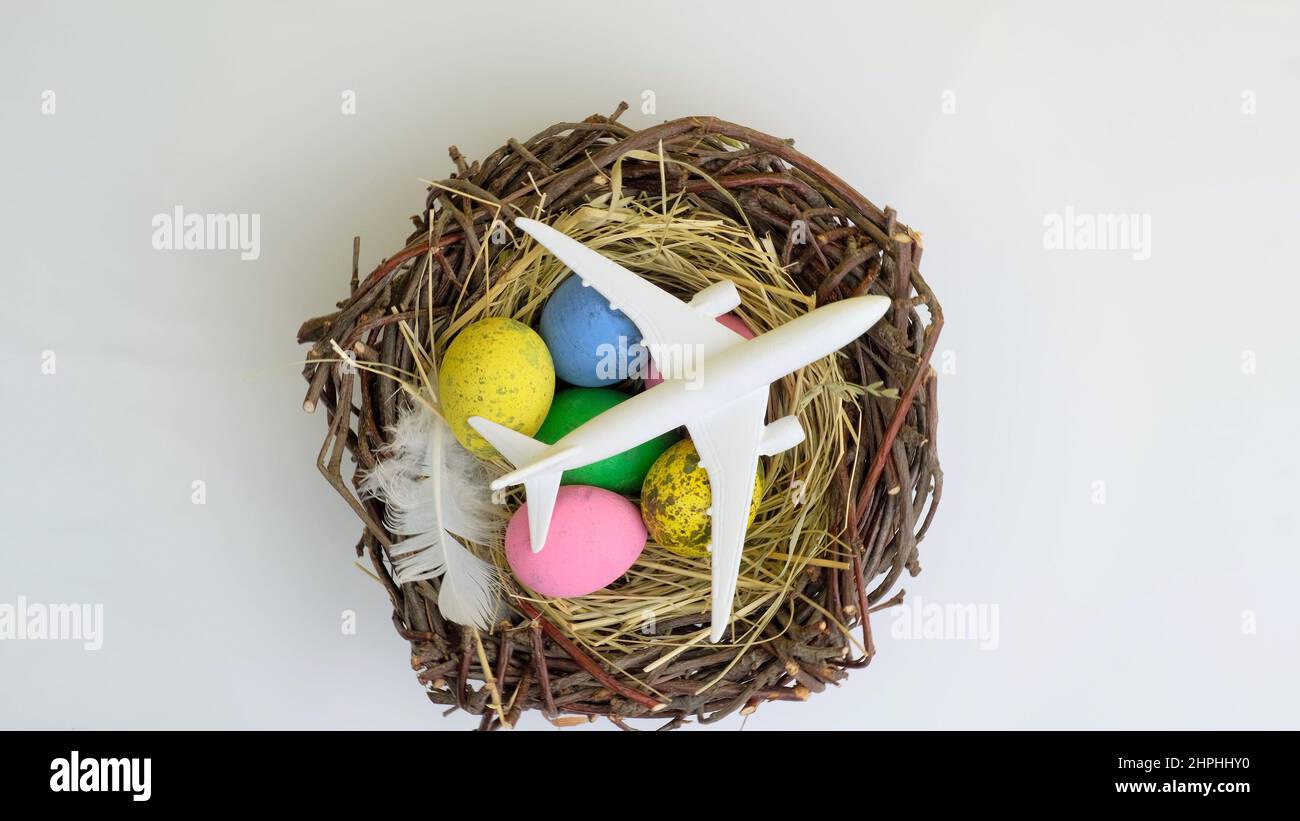 White airplane and easter egg in nest Stock Photo - Alamy