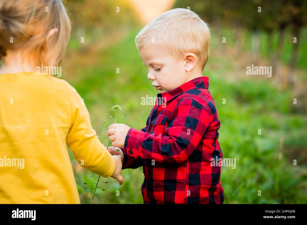 Toddler giving flower hi-res stock photography and images - Alamy