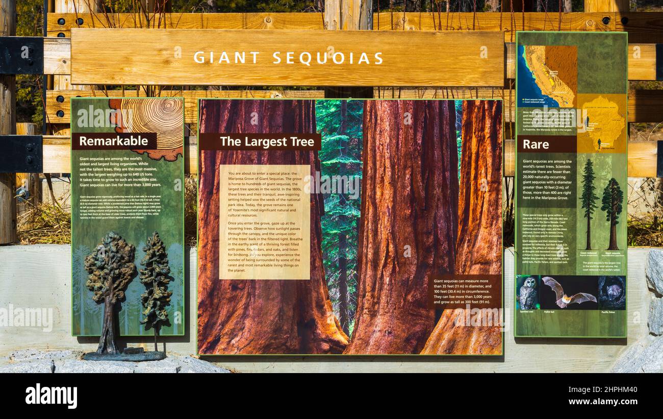 Mariposa grove interpretive sign hi-res stock photography and images ...