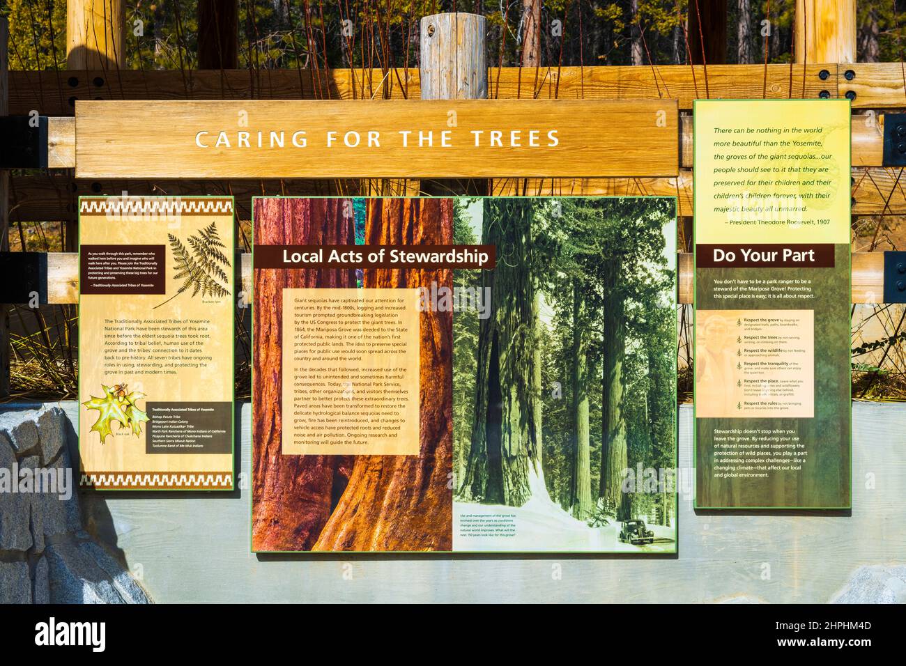Interpretive sign at Mariposa Grove, Yosemite National Park, California ...