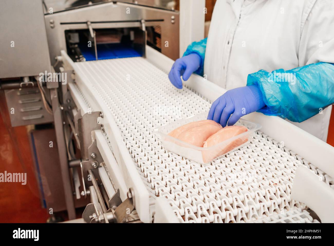 Line for the production of semi-finished meat products.Meat processing ...