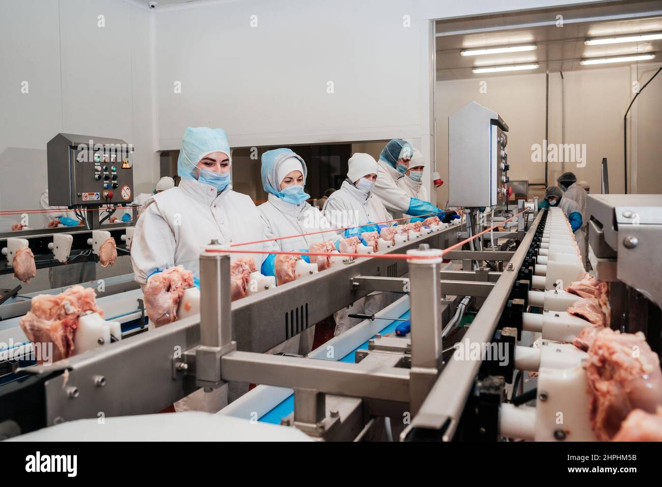 Chicken fillet production line . Factory for the production of food ...