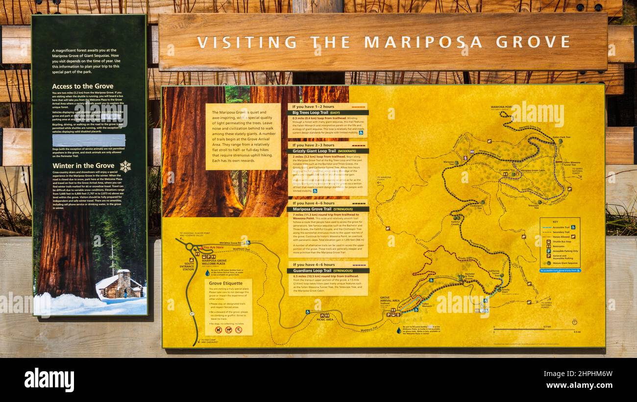 Interpretive sign at Mariposa Grove, Yosemite National Park, California ...