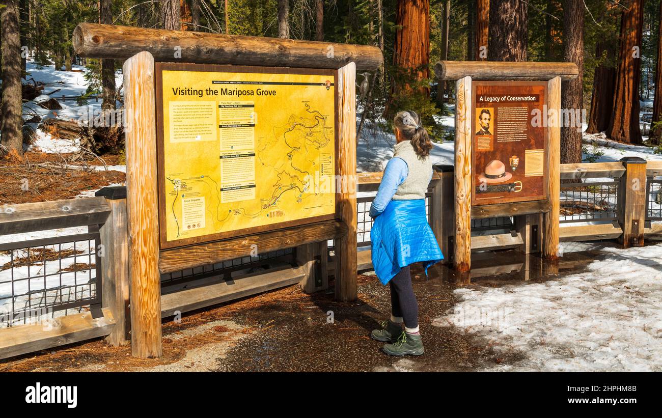 Mariposa grove interpretive sign hi-res stock photography and images ...