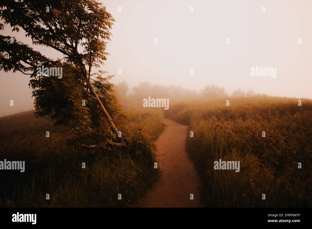 Field path at sunset hi-res stock photography and images - Alamy