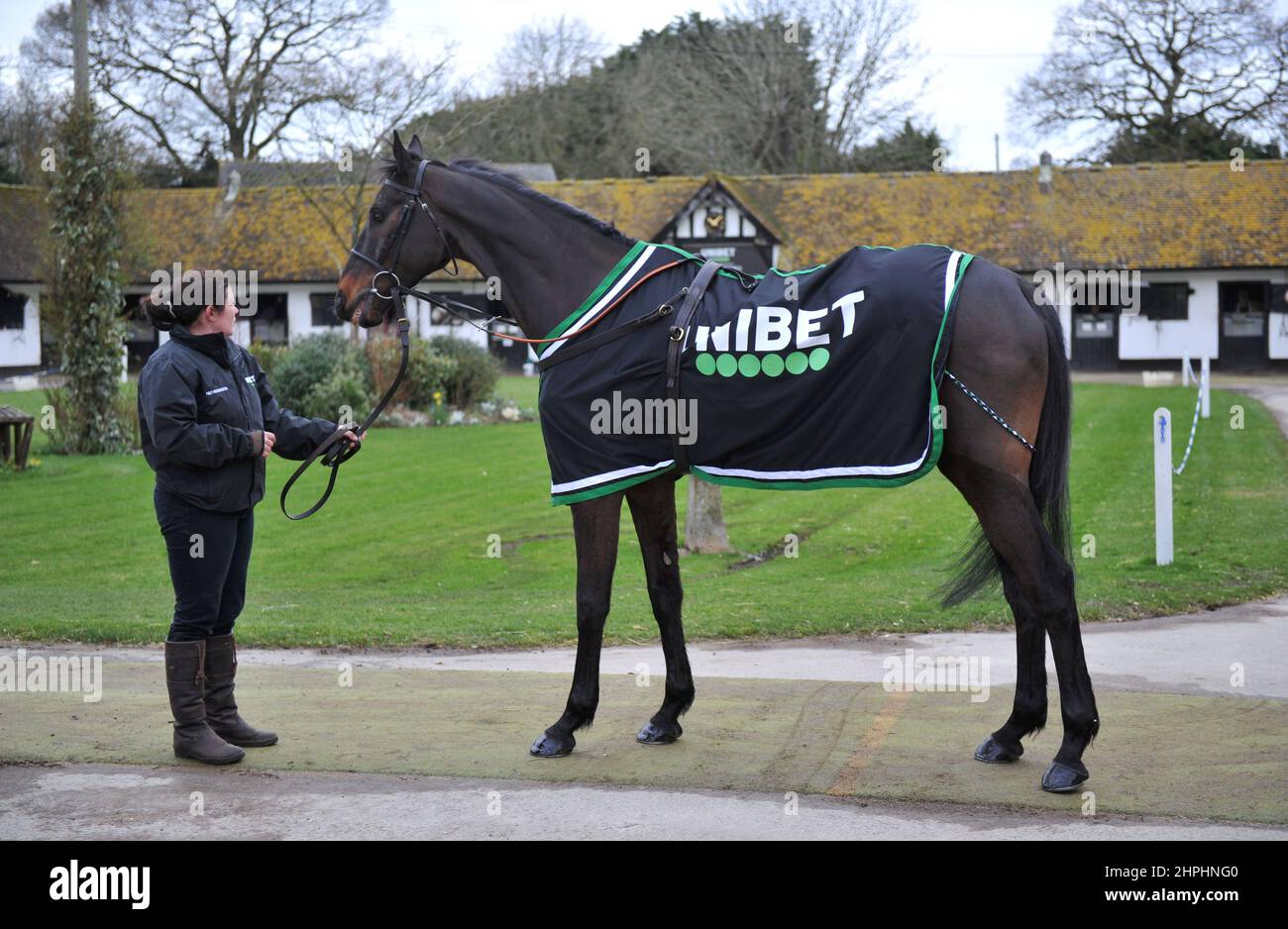Shishkin who is running in the Champion Chase Racing trainer Nicky ...