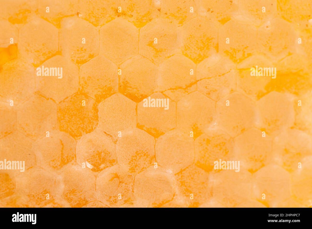 Honeycomb Isolated on a White Background Stock Photo - Alamy