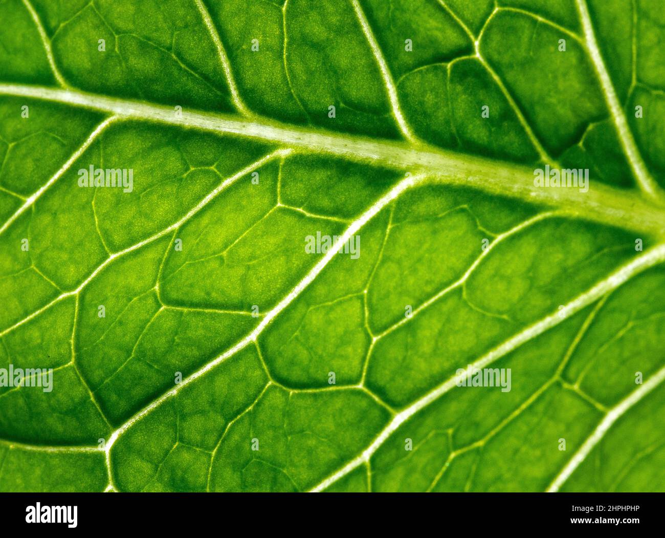 Earthy textures hi-res stock photography and images - Alamy