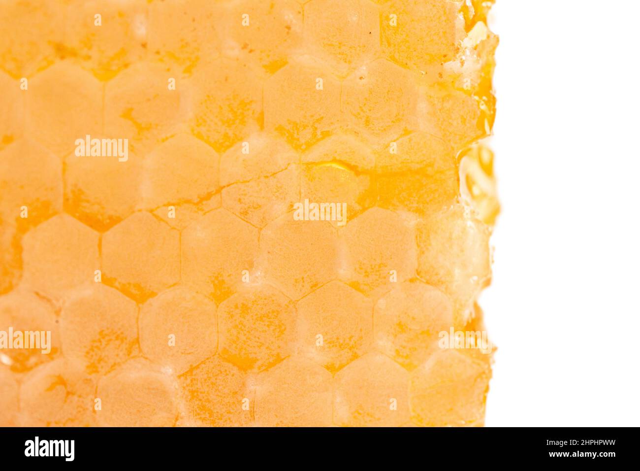 Honeycomb Isolated on a White Background Stock Photo - Alamy