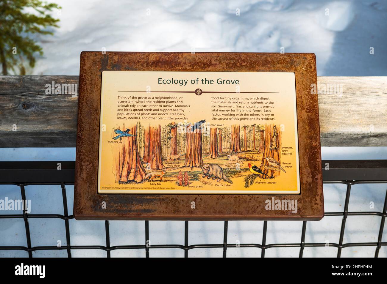 Mariposa grove interpretive sign hi-res stock photography and images ...