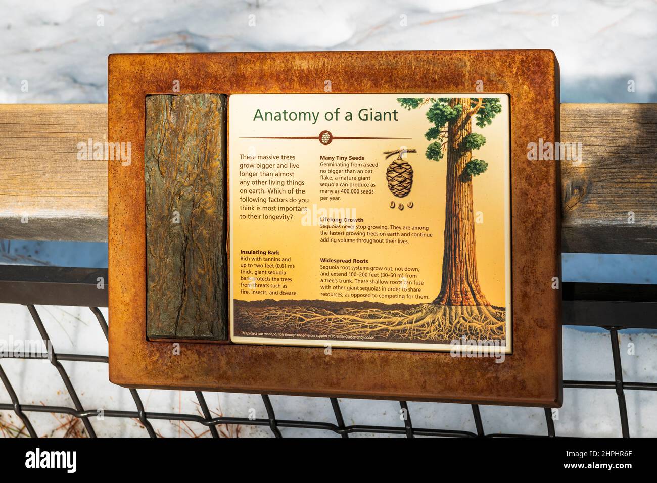 Mariposa grove interpretive sign hi-res stock photography and images ...