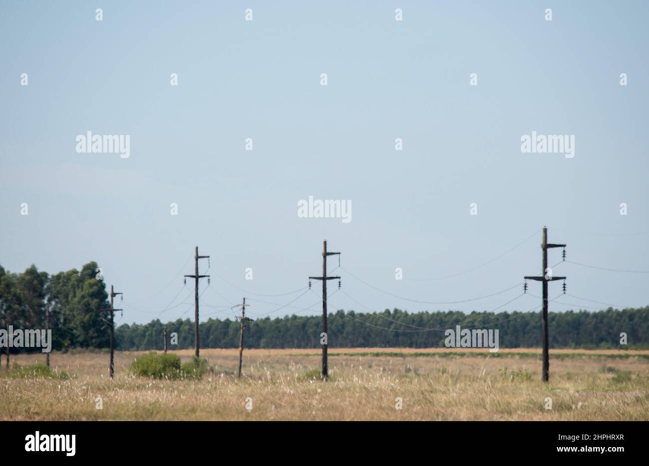 poles for power lines on the side of the road Stock Photo - Alamy