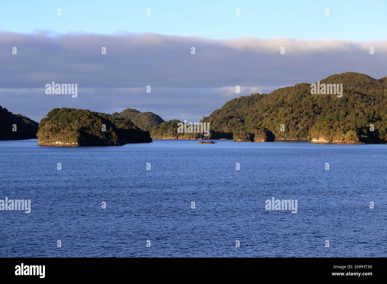 Many Islands Anchor Island Dusky Sound Fiordland New Zealand Stock ...