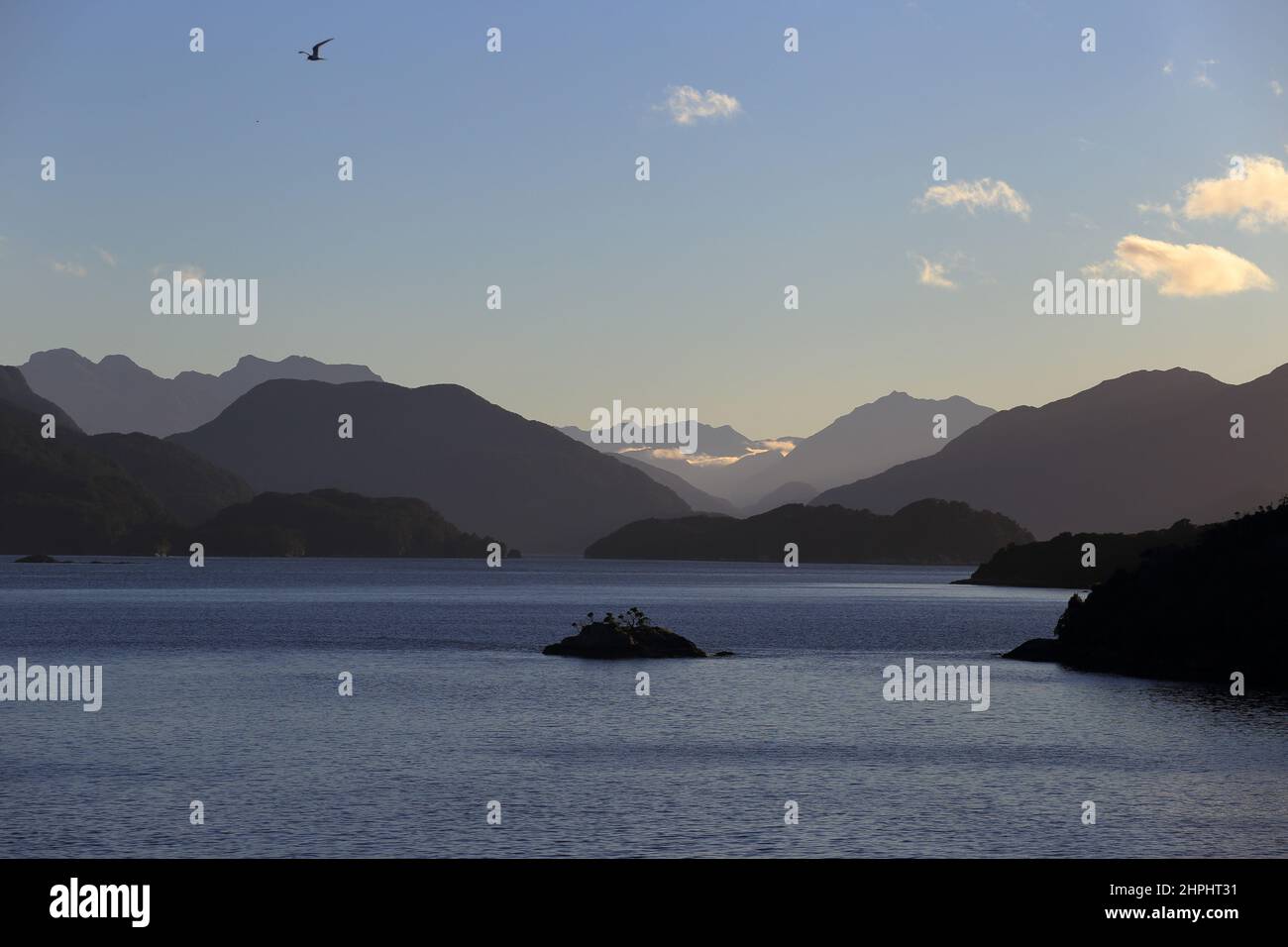 Tamatea hi-res stock photography and images - Alamy