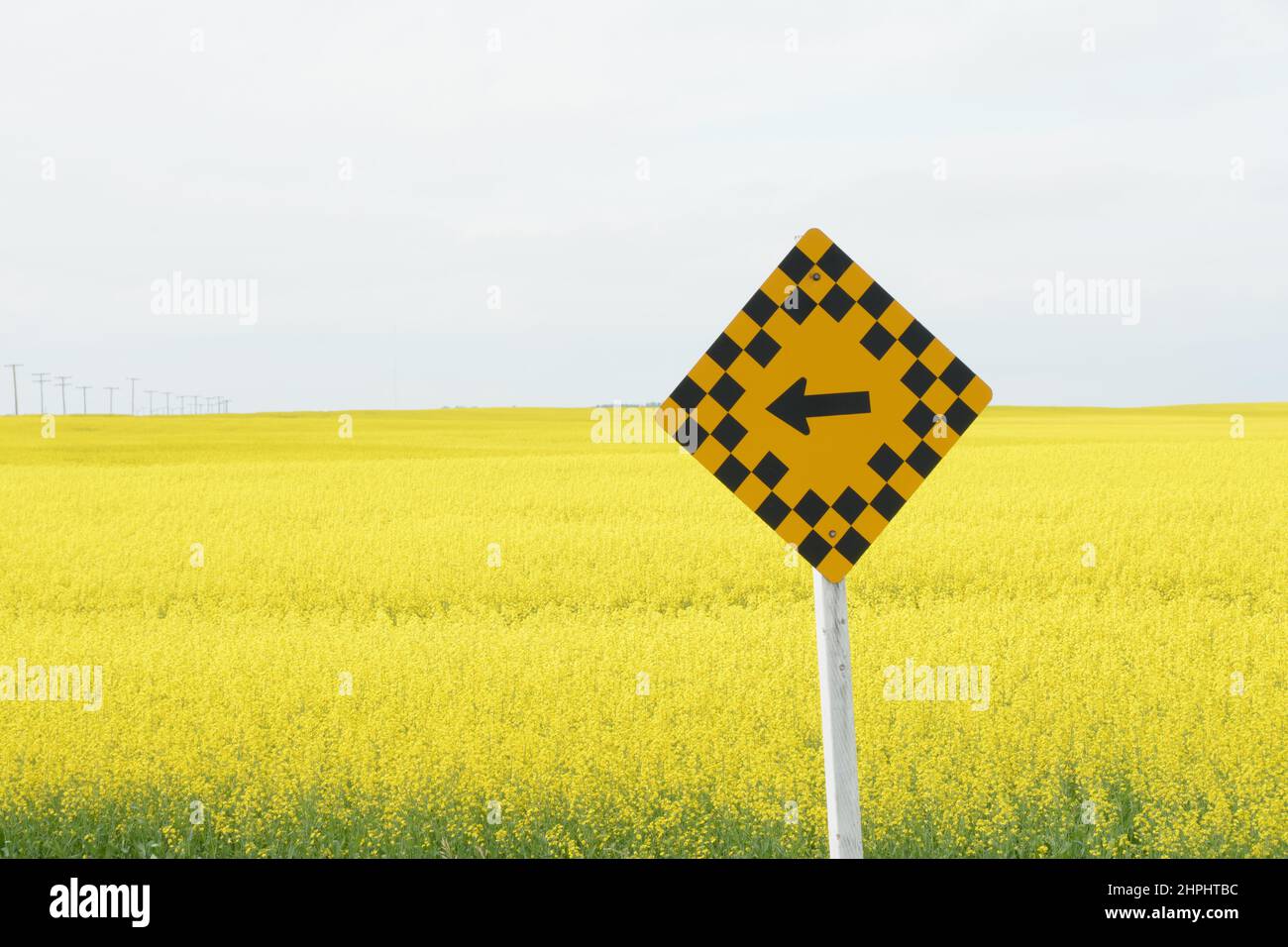 Yellow end of road turn left sign in front of yellow canola field Stock ...