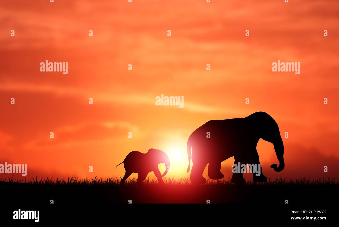 Baby African Elephants In Sunset