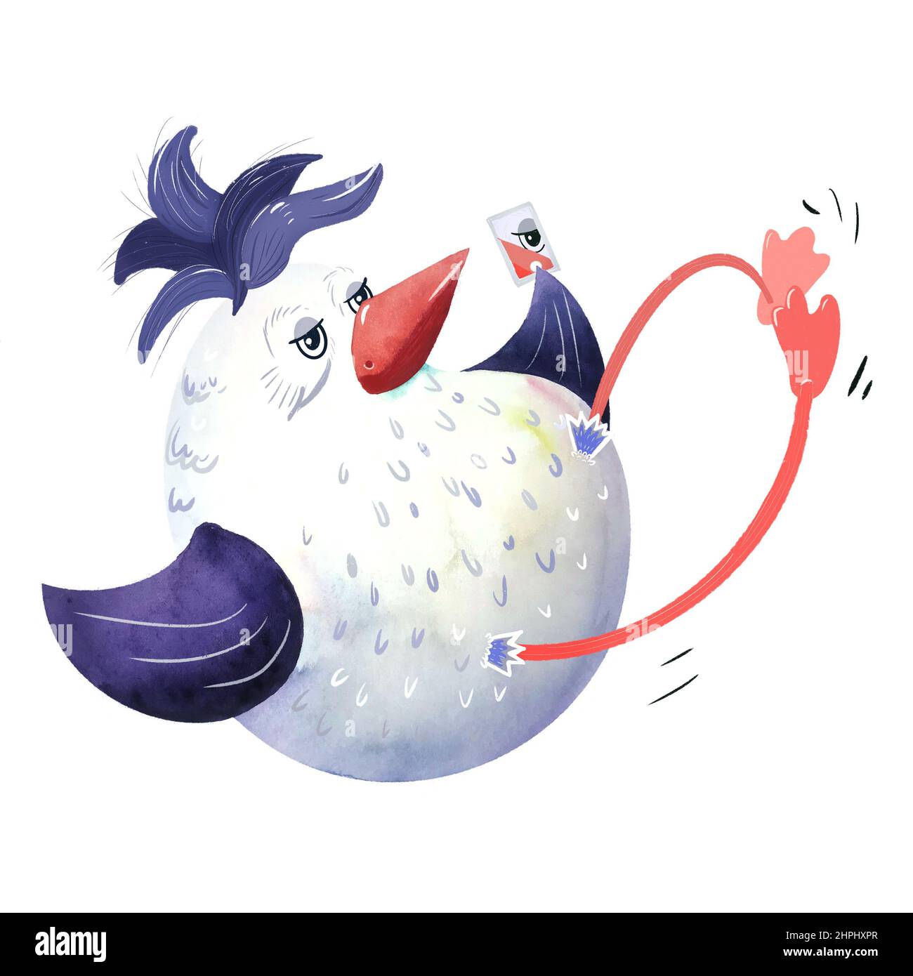 Illustration albatross hi-res stock photography and images - Alamy