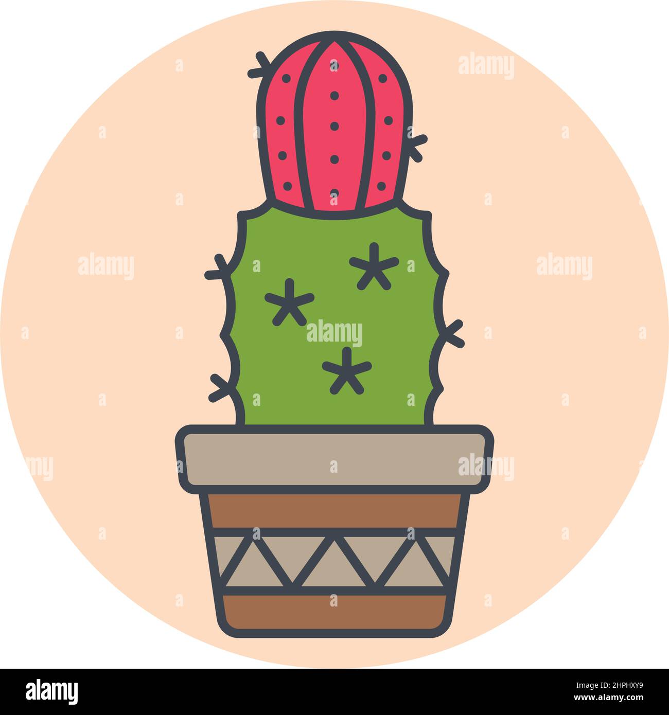 Isolated green cactus on a colored circle frame Vector Stock Vector ...