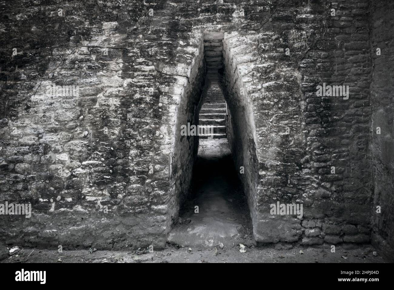 Arch leading to stone stairs at Maya ruins 'Cahal Pech' in San Ignacio ...