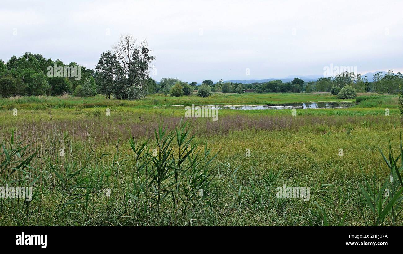 Sils pond in the region of La Selva province of Barcelona,Catalonia ...
