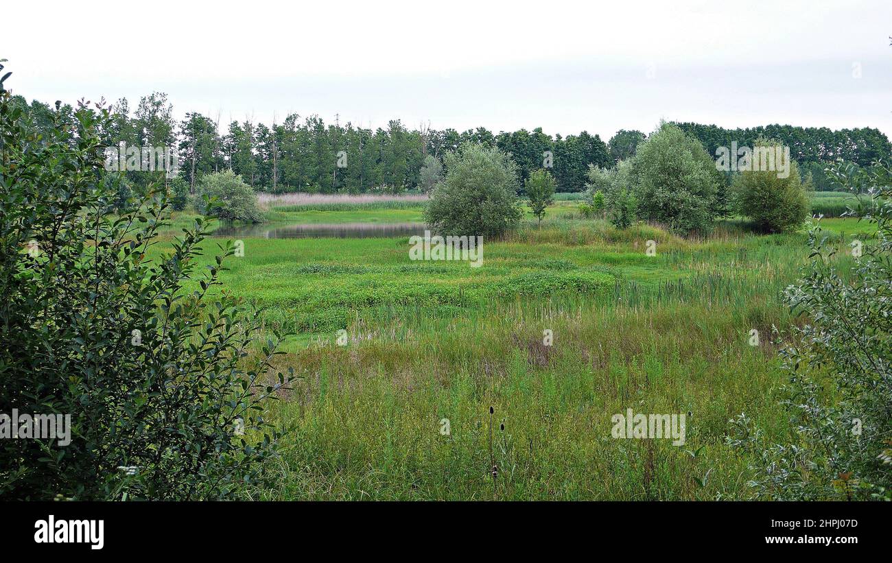Sils pond in the region of La Selva province of Barcelona,Catalonia ...