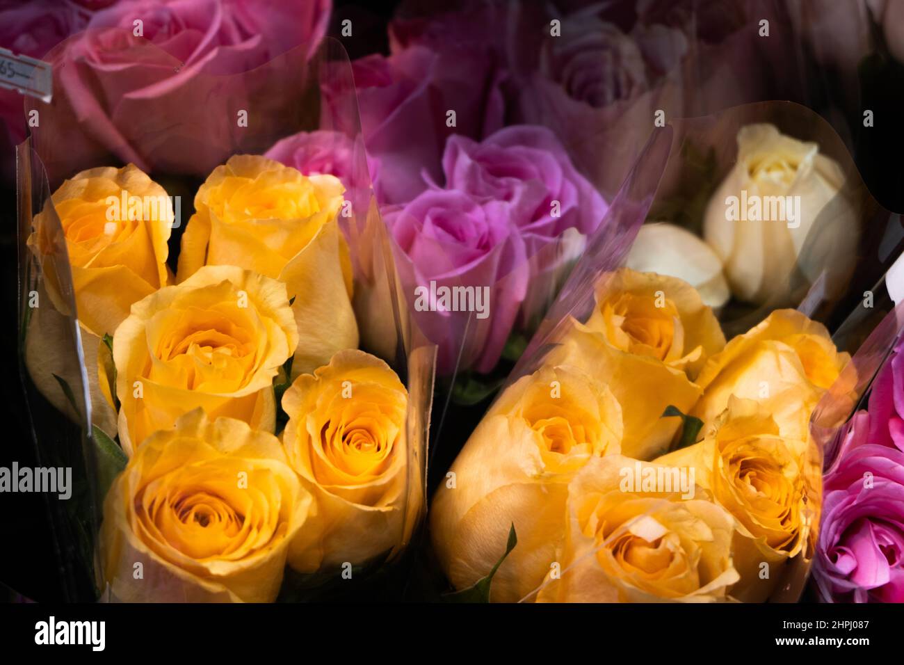 Bouquet of flowers with purple and orange roses wrapped in plastic ...