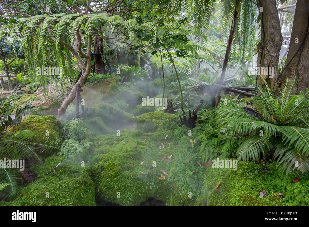 Landscaping design with many tree in the garden Stock Photo - Alamy