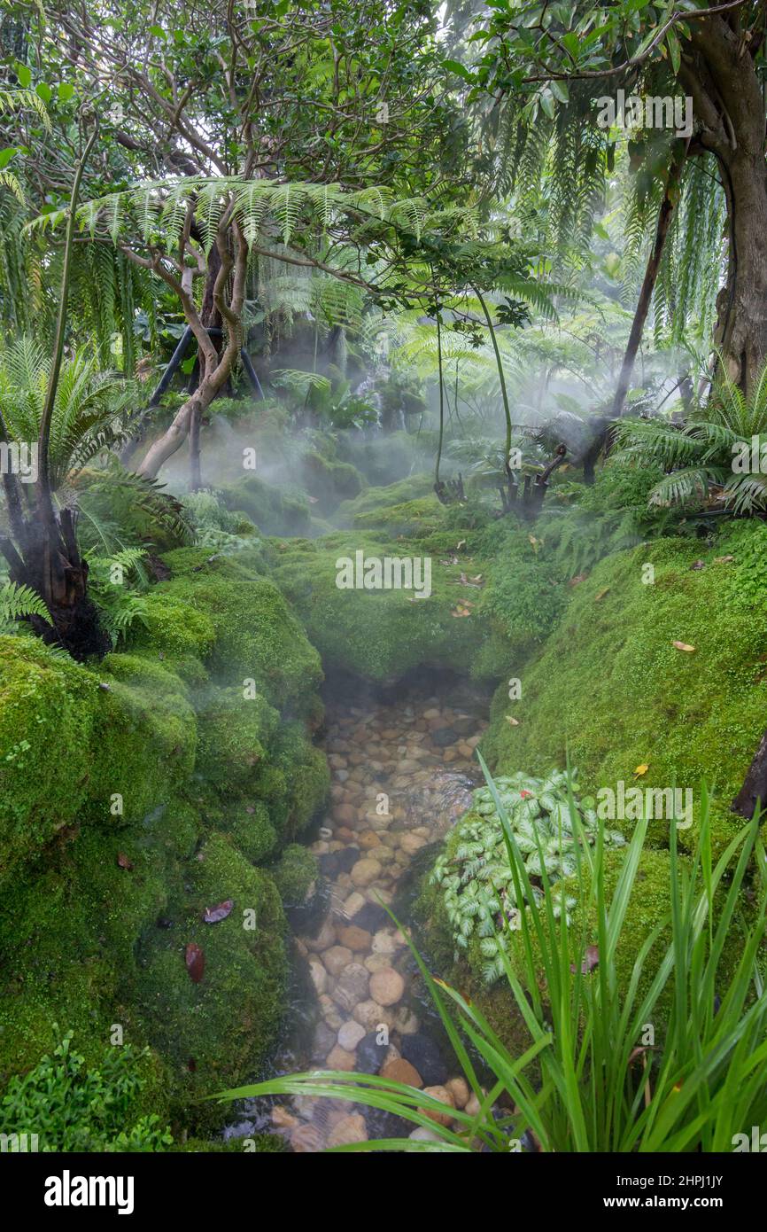 Landscaping design with many tree in the garden Stock Photo - Alamy