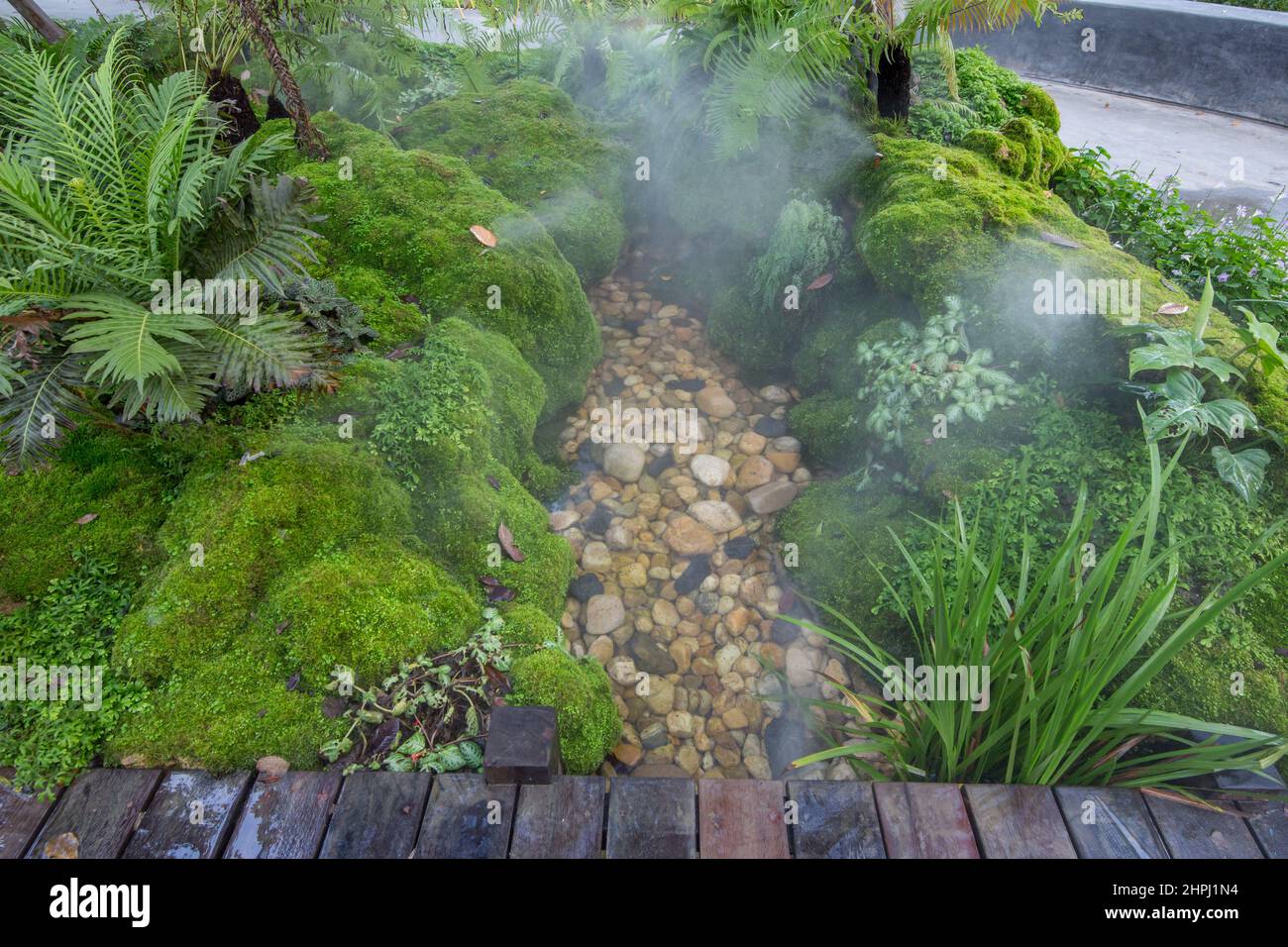 Landscaping design with many tree in the garden Stock Photo - Alamy