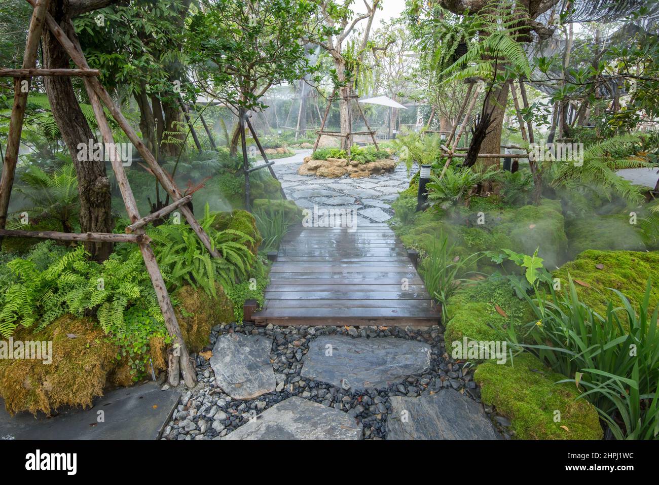 Landscaping design with many tree in the garden Stock Photo - Alamy