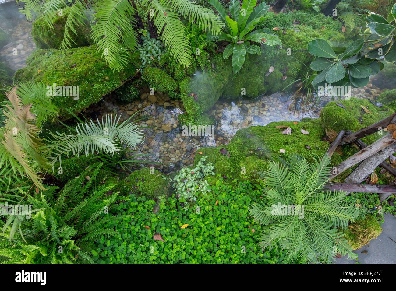 Landscaping design with many tree in the garden Stock Photo - Alamy