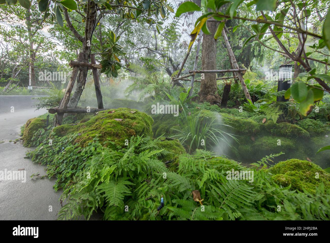 Landscaping design with many tree in the garden Stock Photo - Alamy